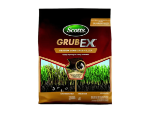 GrubEx Official Website - Premium Pest Control