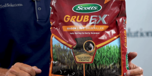GrubEx Official Website - Premium Pest Control